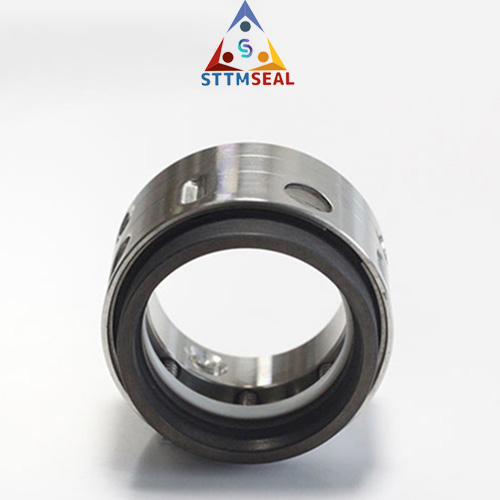 PTFE Wedge Mechanical Seals N12 - STTMSEAL AMERICA